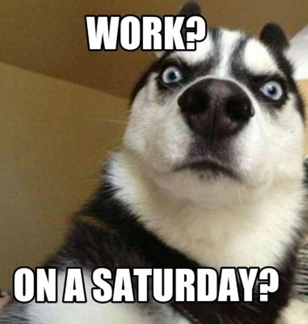60 Best Happy Saturday Memes That Make You Smile 60 Best Happy Saturday Memes That Make You Smile